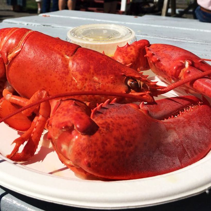 3 lb. Lobster by McLoons Lobster Shack - Goldbelly